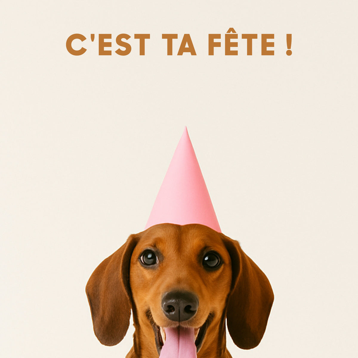 C’est ta fete – PointCarré